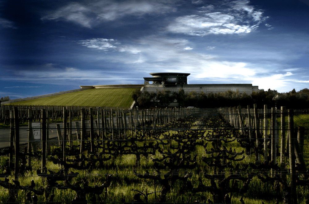 Opus One 2018 price at Arden Fine Wines in Mayfair, London